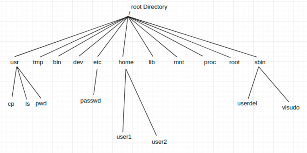 File System Hierarchy Of Linux DevOpsAGE